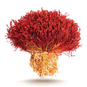 What is Saffron? and What are different kinds of saffron? – Badiee Saffron
